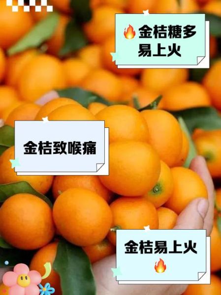 小金桔败火还是上火_小金桔上火怎么办-第2张图片-山城妙识