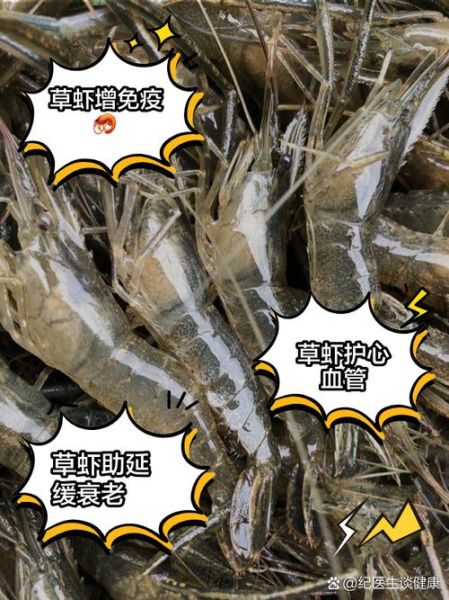 淡水草虾怎么养_淡水草虾吃什么-第1张图片-山城妙识 淡水草虾怎么养_淡水草虾吃什么-第1张图片-山城妙识