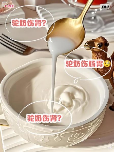 长期喝骆驼奶的危害_骆驼奶副作用有哪些-第2张图片-山城妙识