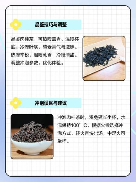 肉桂的功效与作用及禁忌症_肉桂泡水喝的正确方法-第3张图片-山城妙识