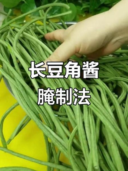 长豆角怎么腌好吃_腌长豆角放多少盐-第1张图片-山城妙识