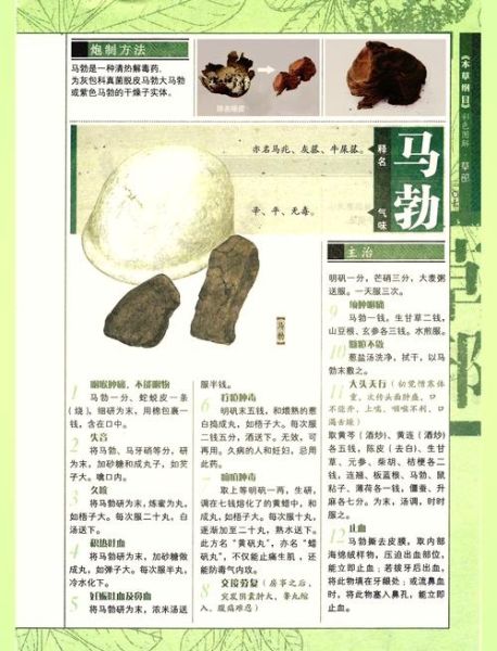 马勃的功效与作用_马勃能治什么病-第1张图片-山城妙识