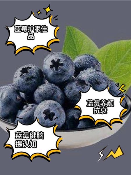 每天吃蓝莓一年后身体变化_长期吃蓝莓有什么效果-第1张图片-山城妙识