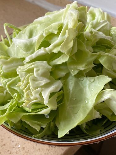 包菜怎么撕_包菜撕成什么形状最好-第3张图片-山城妙识