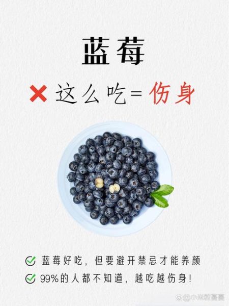 每天吃蓝莓一年后身体变化_长期吃蓝莓有什么效果-第3张图片-山城妙识