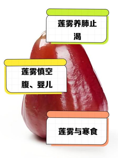 莲雾哪里不能吃_莲雾籽能不能吃-第2张图片-山城妙识