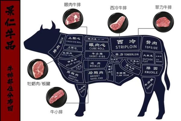 牛肉部位分割图怎么看_牛排选哪个部位最好-第1张图片-山城妙识