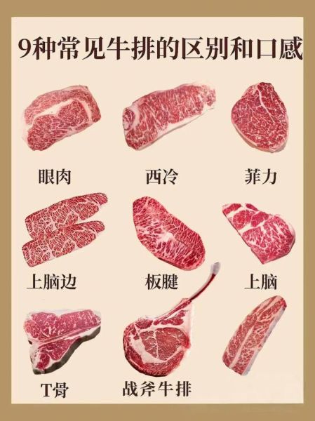 牛肉部位分割图怎么看_牛排选哪个部位最好-第2张图片-山城妙识