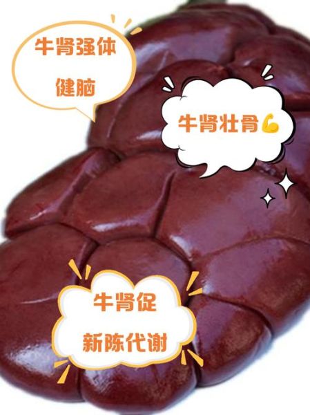 牛肾图片_牛肾解剖结构图怎么看-第1张图片-山城妙识