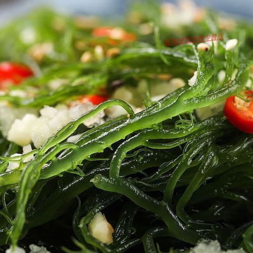 发菜哪些人不能吃_发菜禁忌人群-第2张图片-山城妙识