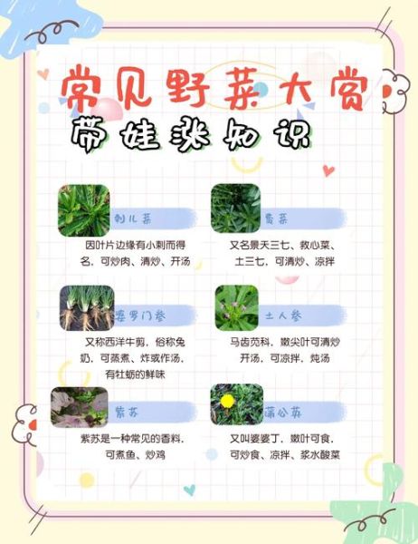 能吃的野菜有哪些图片和名字_春季常见野菜识别指南-第3张图片-山城妙识