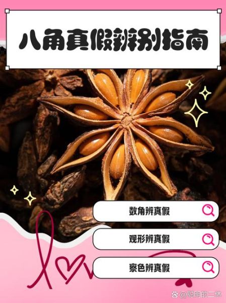 大料和八角的区别是什么_八角是不是大料-第1张图片-山城妙识