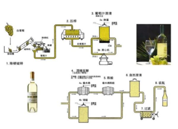 葡萄酒酿造设备有哪些_小型酒庄如何选型-第2张图片-山城妙识 葡萄酒酿造设备有哪些_小型酒庄如何选型-第2张图片-山城妙识