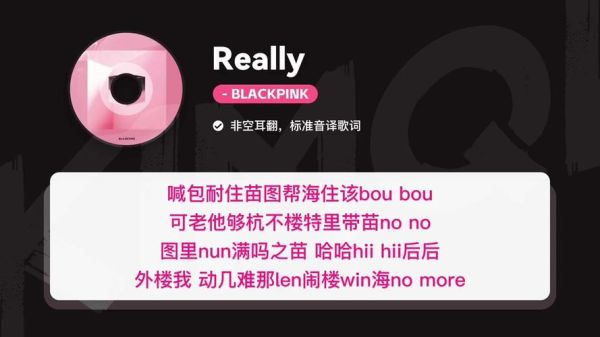 泡菜网音译网怎么用_泡菜音译歌词在哪找-第1张图片-山城妙识