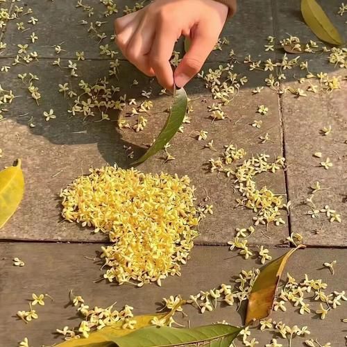 豆花之歌原唱是谁_豆花之歌歌词含义-第3张图片-山城妙识