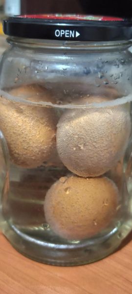 醋泡鸡蛋的正确做法_醋泡鸡蛋真的能降血压吗-第1张图片-山城妙识 醋泡鸡蛋的正确做法_醋泡鸡蛋真的能降血压吗-第1张图片-山城妙识