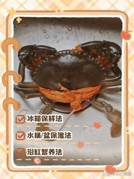 大闸蟹怎么保存能存活更久_活蟹存放技巧-第3张图片-山城妙识