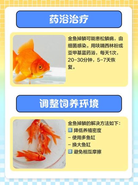 金鳟鱼的鱼鳞怎么处理_金鳟鱼鳞怎么刮干净-第2张图片-山城妙识