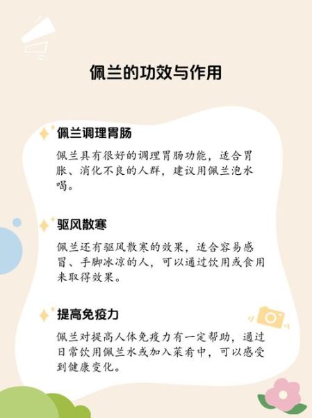 佩兰的功效与作用是什么_佩兰主治哪些疾病-第2张图片-山城妙识 佩兰的功效与作用是什么_佩兰主治哪些疾病-第2张图片-山城妙识