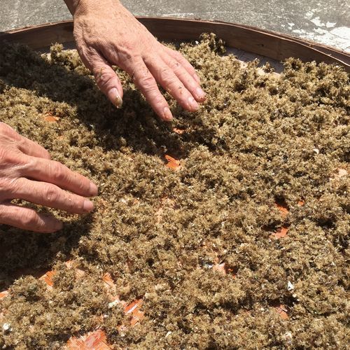 洋菜膏的功效与作用_洋菜膏怎么吃最好-第2张图片-山城妙识