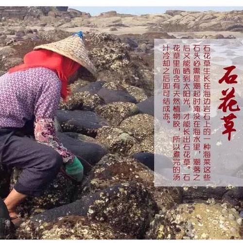 洋菜膏的功效与作用_洋菜膏怎么吃最好-第3张图片-山城妙识