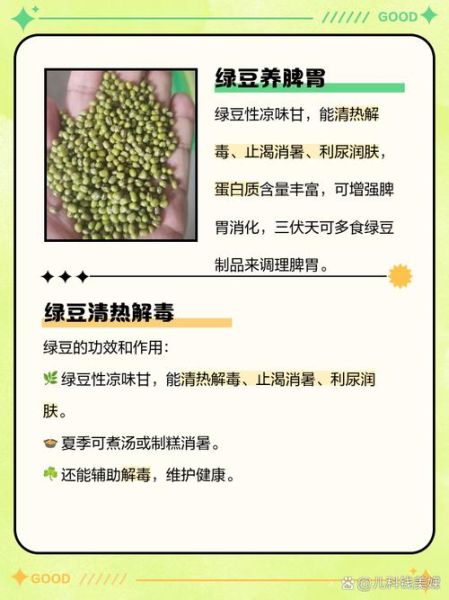 绿豆的功效与作用有哪些_绿豆能治什么病-第2张图片-山城妙识
