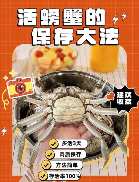 螃蟹过夜要不要放水里面_活蟹保存技巧-第1张图片-山城妙识