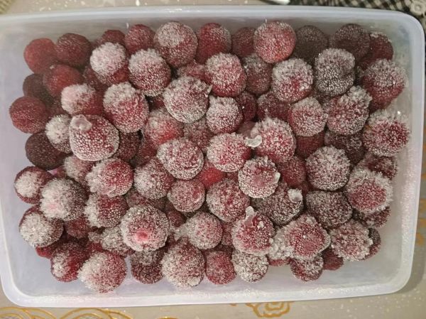 冰冻了的杨梅怎么处理_解冻后还能吃吗-第1张图片-山城妙识