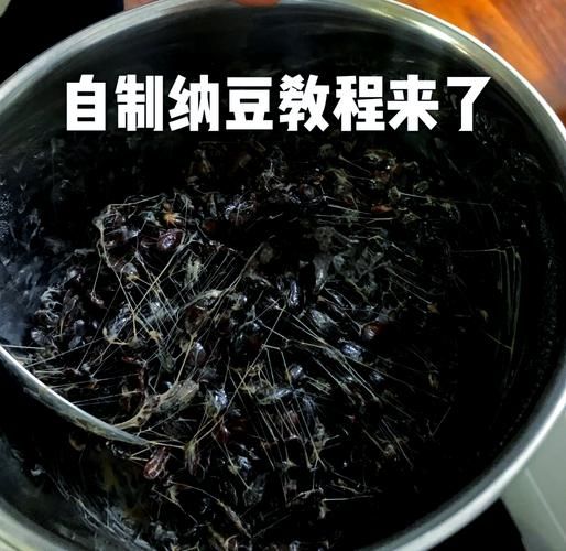 日本纳豆怎么制作_传统纳豆做法步骤-第3张图片-山城妙识 日本纳豆怎么制作_传统纳豆做法步骤-第3张图片-山城妙识