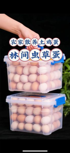 虫草鸡蛋和土鸡蛋有什么区别_哪个更好-第3张图片-山城妙识