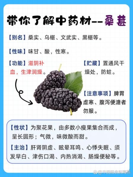 桑果的功效与作用_桑果怎么吃效果最好-第1张图片-山城妙识