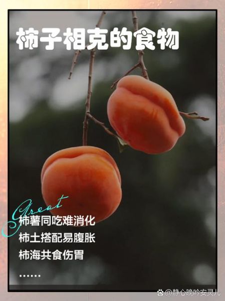 柿子和什么食物相克_吃了会中毒吗-第1张图片-山城妙识