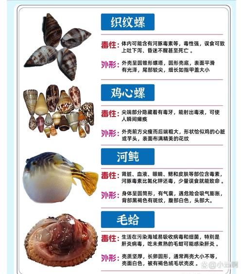 十大有毒螺有哪些_毒性排名-第1张图片-山城妙识 十大有毒螺有哪些_毒性排名-第1张图片-山城妙识