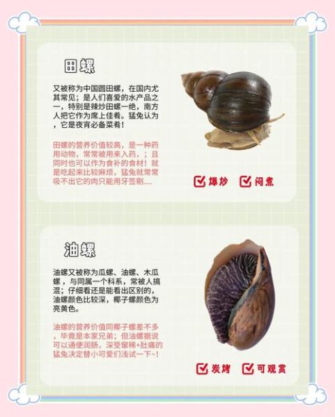 十大有毒螺有哪些_毒性排名-第2张图片-山城妙识 十大有毒螺有哪些_毒性排名-第2张图片-山城妙识