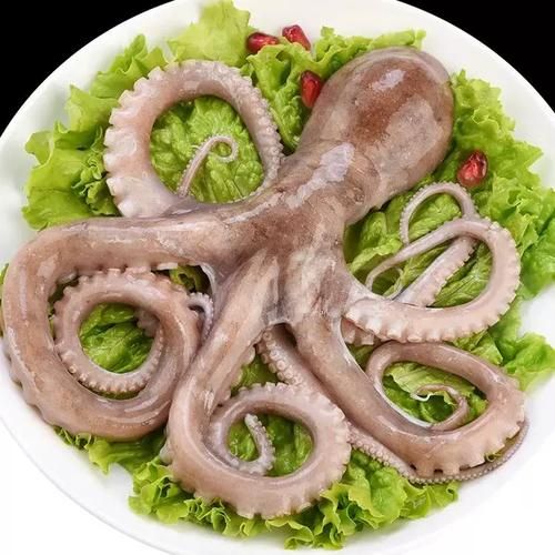 八爪鱼怎么清洗_八爪鱼清洗内脏步骤-第3张图片-山城妙识