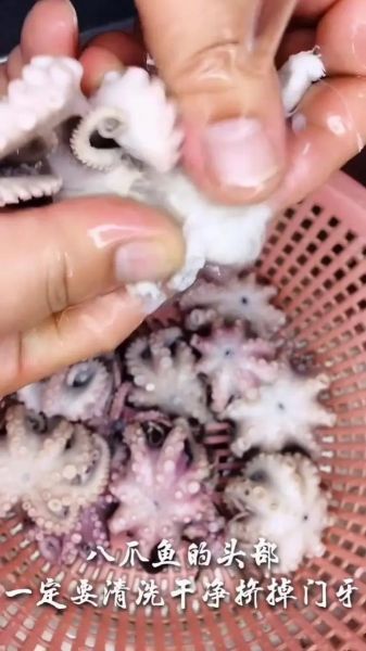 八爪鱼怎么清洗_八爪鱼清洗内脏步骤-第2张图片-山城妙识