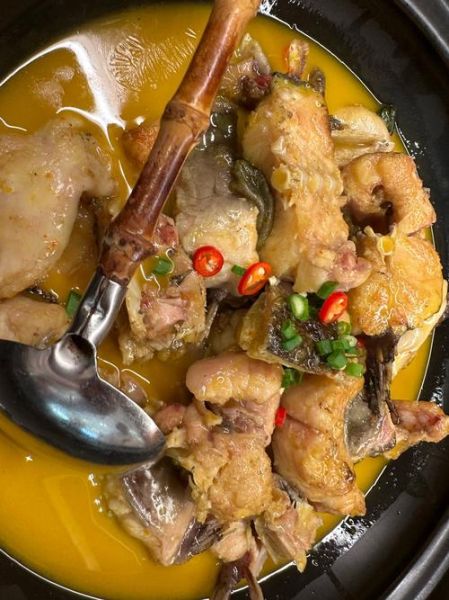 红烧鮰鱼怎么做好吃_家常红烧鮰鱼的做法窍门-第1张图片-山城妙识