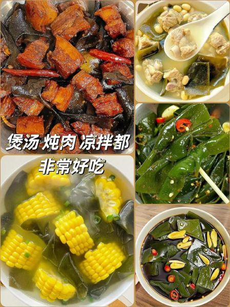 海带宝专业版怎么用_海带宝专业版多少钱-第1张图片-山城妙识