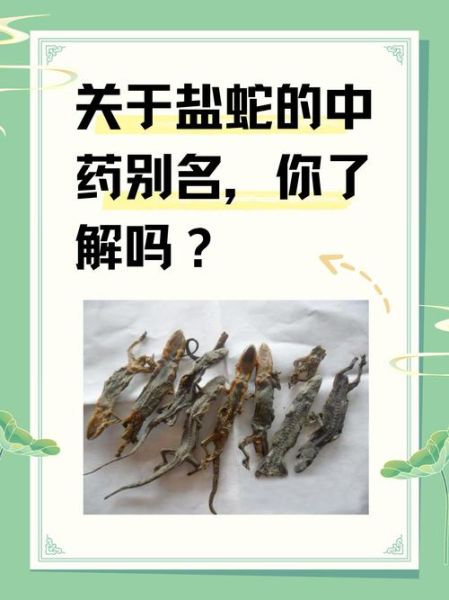 椒盐大王蛇是野味吗_能不能吃-第3张图片-山城妙识