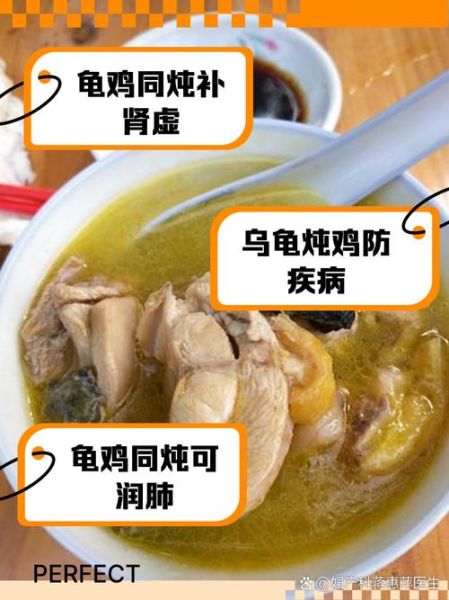 乌龟怎么做好吃_乌龟汤的做法-第1张图片-山城妙识