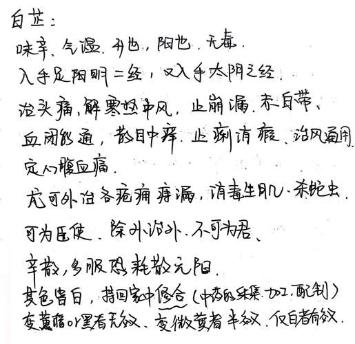 白芷的功效与作用禁忌症_白芷能长期吃吗-第1张图片-山城妙识