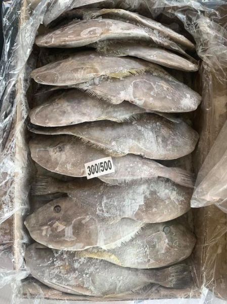 马面鱼是扒皮鱼吗_马面鱼和扒皮鱼的区别-第1张图片-山城妙识 马面鱼是扒皮鱼吗_马面鱼和扒皮鱼的区别-第1张图片-山城妙识