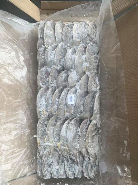 马面鱼是扒皮鱼吗_马面鱼和扒皮鱼的区别-第3张图片-山城妙识 马面鱼是扒皮鱼吗_马面鱼和扒皮鱼的区别-第3张图片-山城妙识