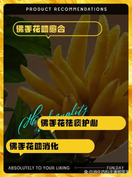佛手花的功效与作用_佛手花的禁忌有哪些-第3张图片-山城妙识 佛手花的功效与作用_佛手花的禁忌有哪些-第3张图片-山城妙识
