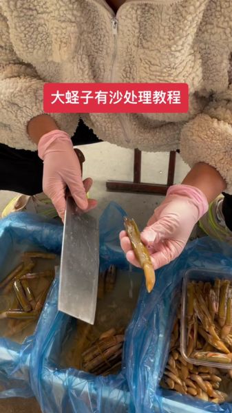 蛏子怎么去内脏_蛏子内脏清理图解-第1张图片-山城妙识