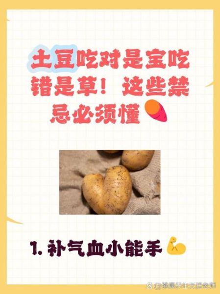 土豆的功效与作用及禁忌_什么人不能吃土豆-第2张图片-山城妙识