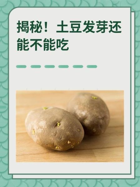 土豆的功效与作用及禁忌_什么人不能吃土豆-第1张图片-山城妙识