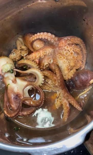 大章鱼怎么做好吃_大章鱼怎么清洗-第1张图片-山城妙识 大章鱼怎么做好吃_大章鱼怎么清洗-第1张图片-山城妙识