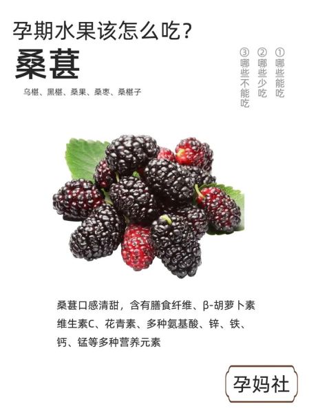 桑葚一天吃多少粒最好_吃多了会怎样-第2张图片-山城妙识