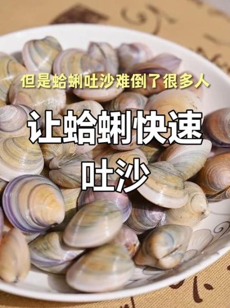 蛤蜊怎么吐沙_蛤蜊吐沙最快的方法-第1张图片-山城妙识